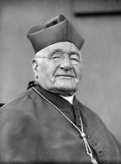 Birth of 4th Archbishop of Sydney Michael Kelly | seamus dubhghaill